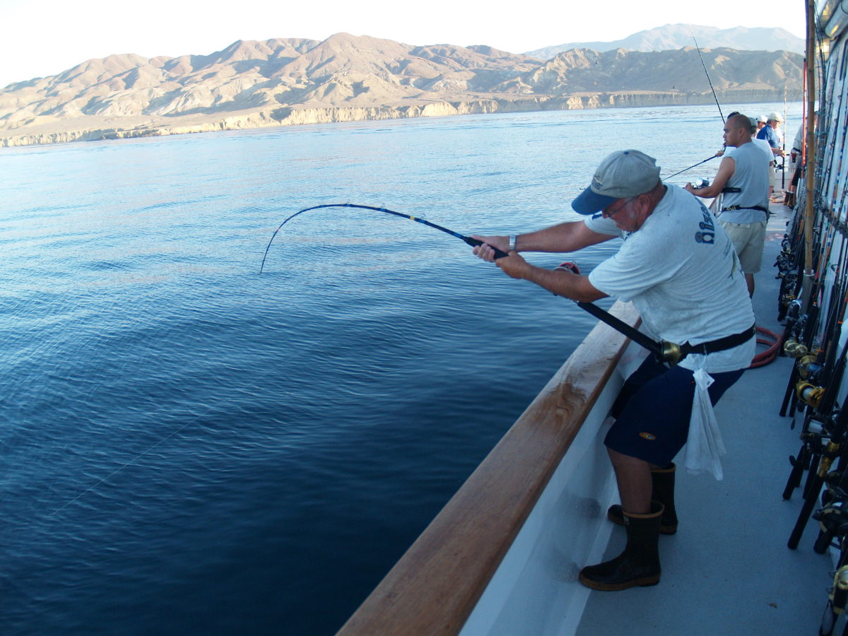 August 19 - SearcherSportfishing.com