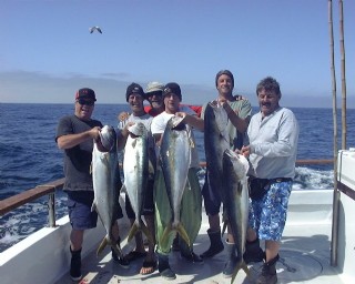 - SearcherSportfishing.com