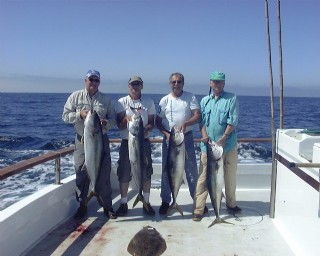 Monday noon report - SearcherSportfishing.com