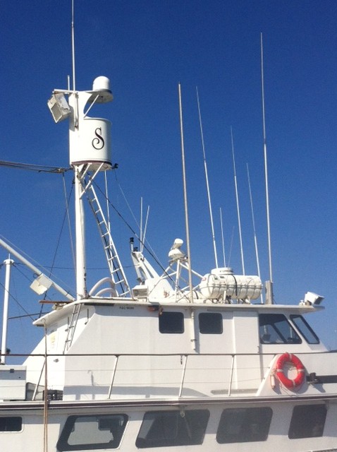 New! Satellite TV available on board - SearcherSportfishing.com