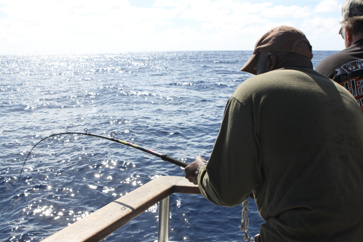 Accurate/Searcher Trip 30 Gallery - SearcherSportfishing.com