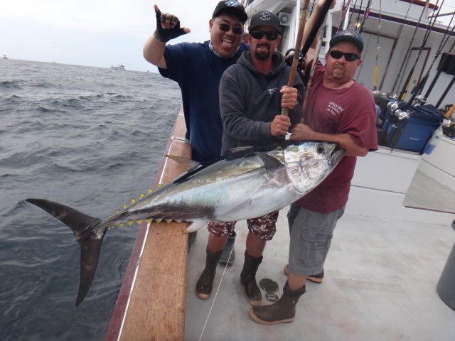 Trip 22 (3 day) Sep 2-5 Labor Day - SearcherSportfishing.com