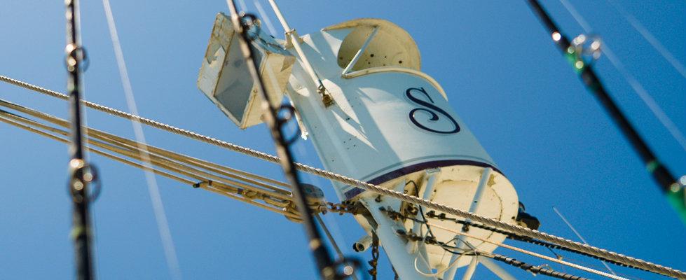 San Diego Charter Fishing - SearcherSportfishing.com