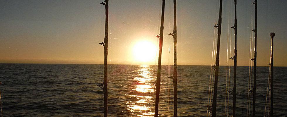 San Diego Charter Fishing - SearcherSportfishing.com