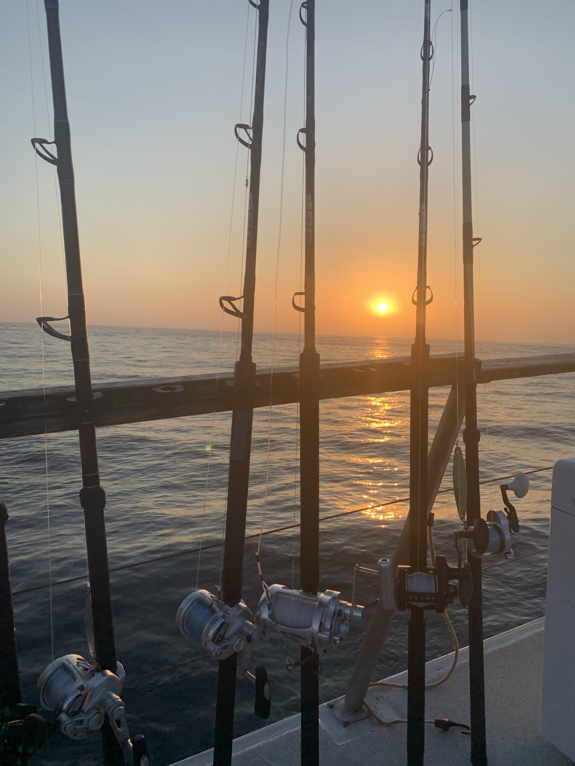 What's for dinner on Searcher? - SearcherSportfishing.com