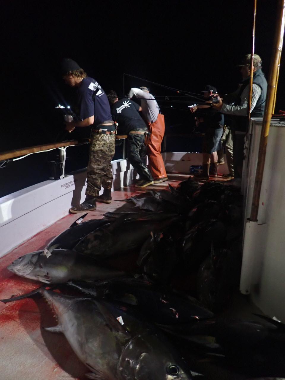 Jun 15 (Jul 13-16) 3 day Pelagic Predators charter ...