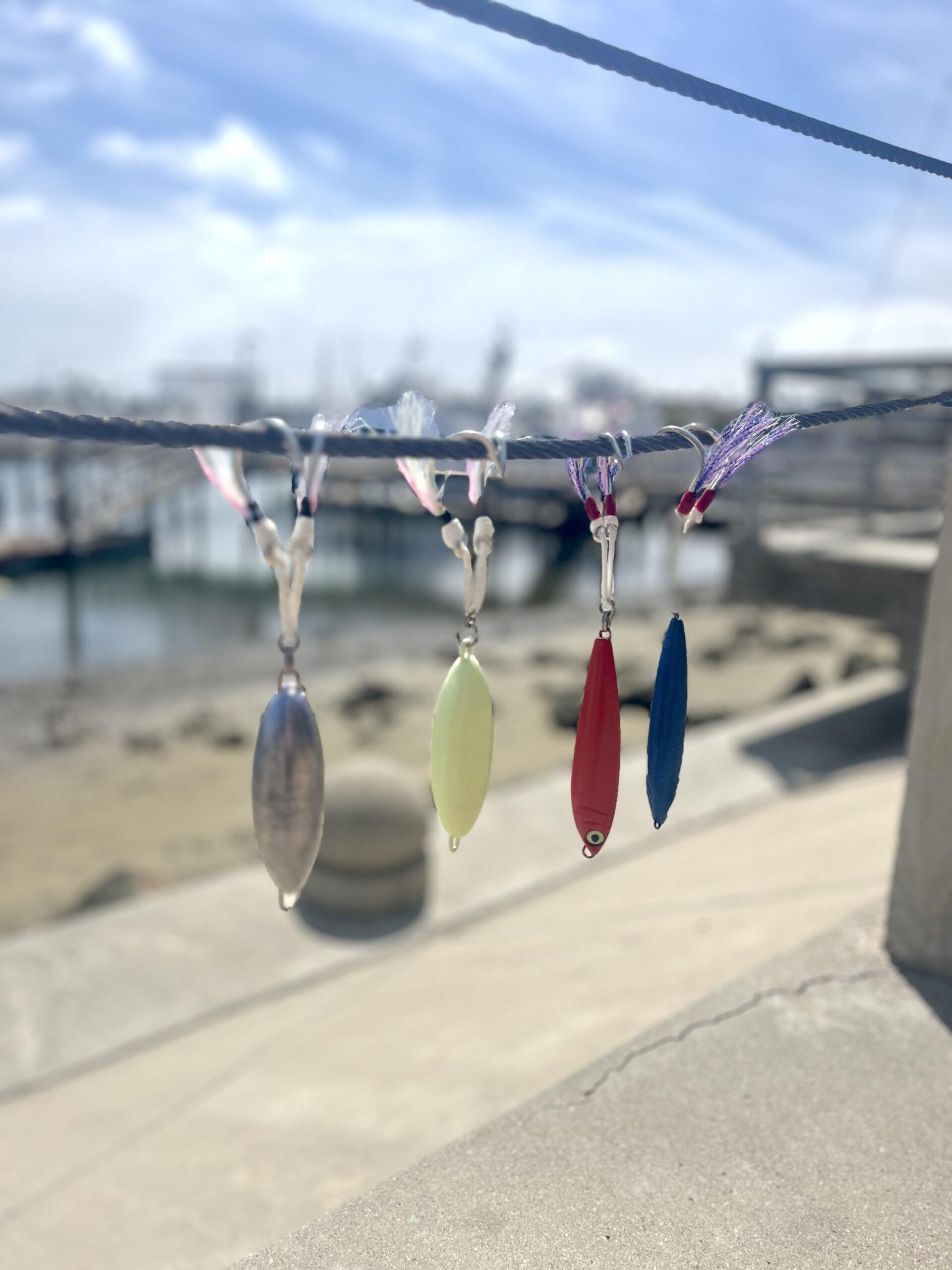 Bluefin Are Biting! - SearcherSportfishing.com