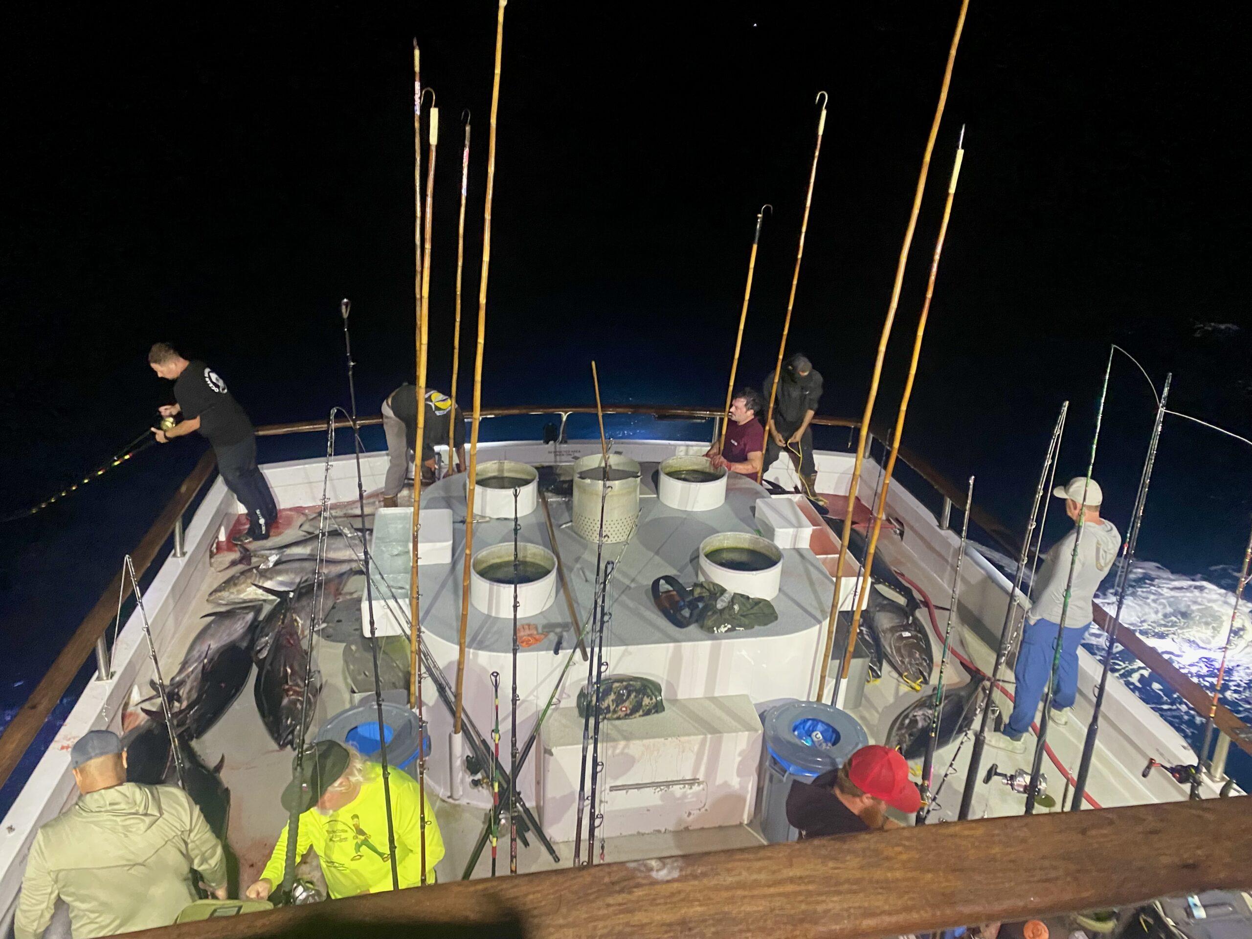 Trip 19, Denio's Charter w/ Knee Deep Brewing Co ...